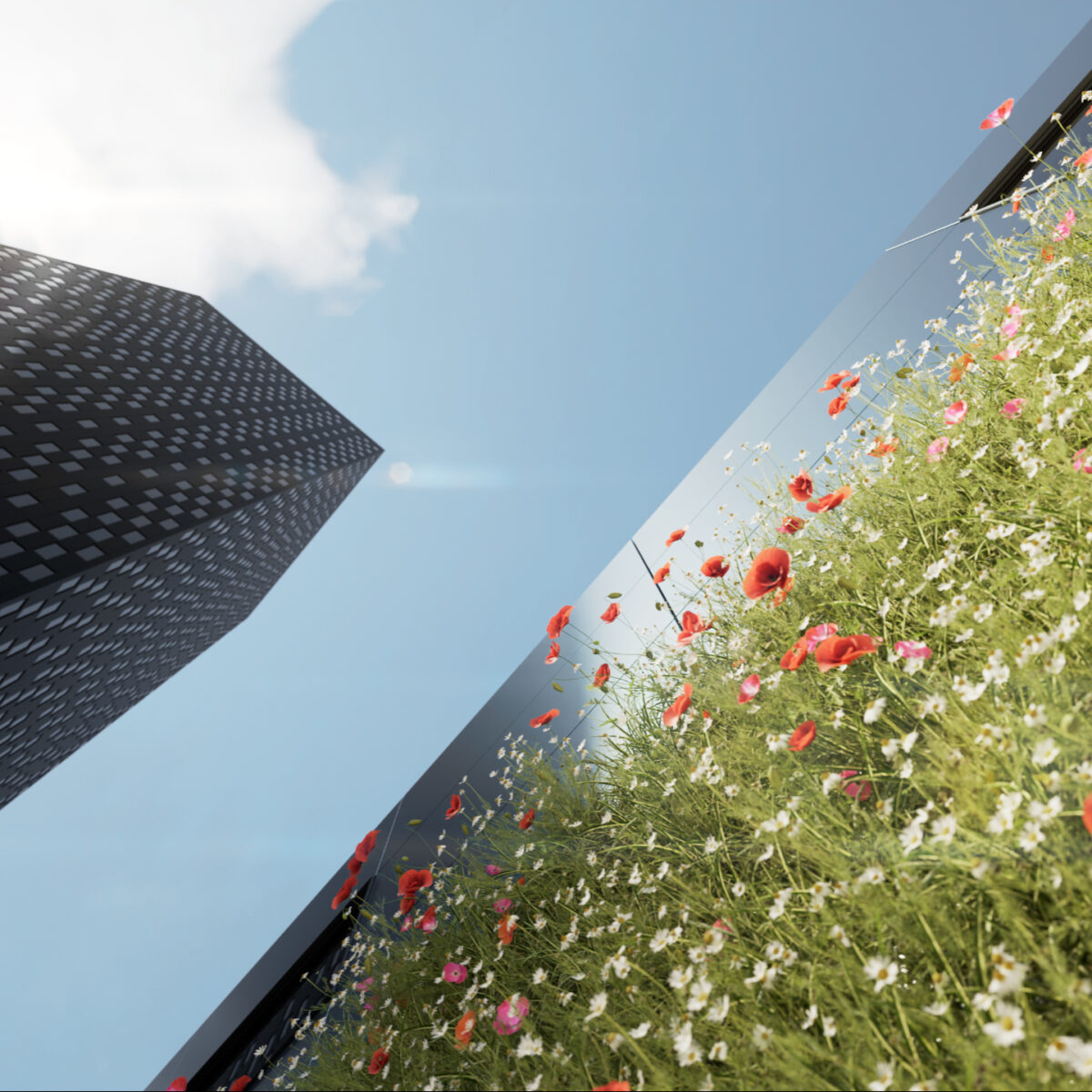 Downloads - Sotech Optima